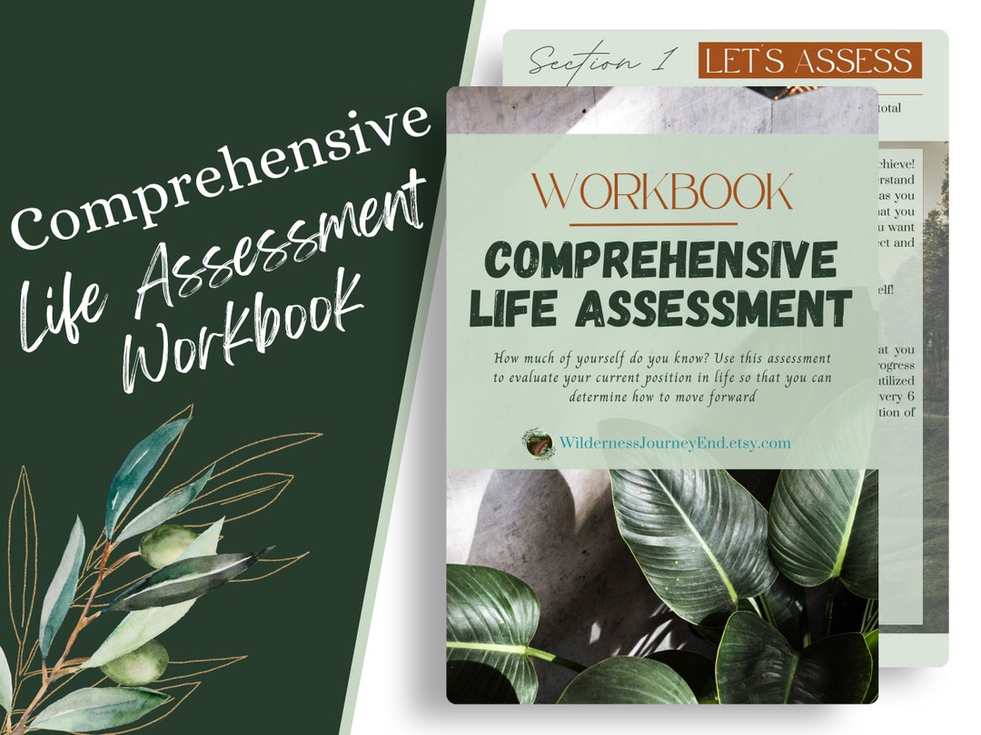 Comprehensive Life Assessment Workbook | Self-assessment | Emotional ...