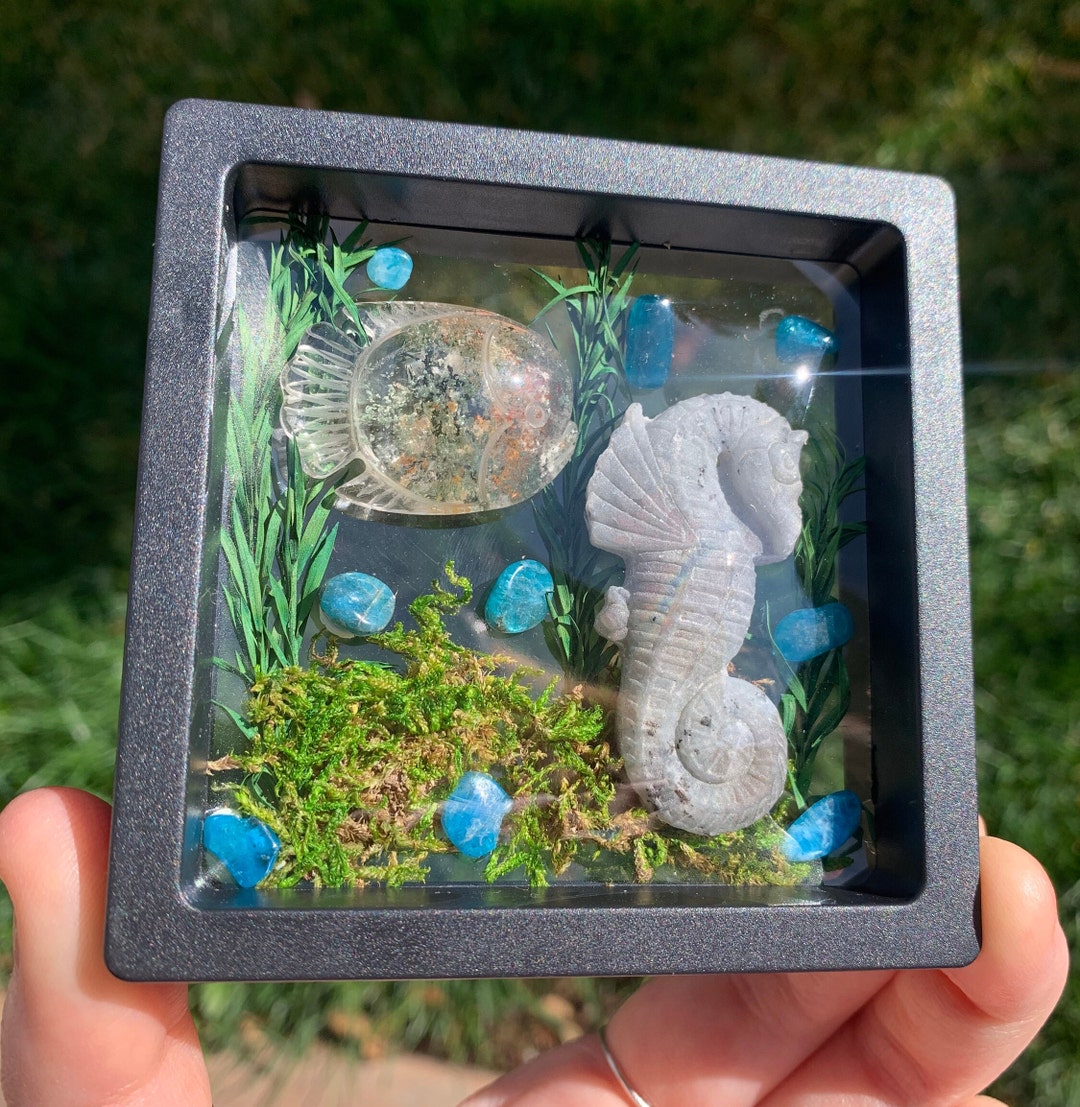 Ocean Crystal Display - Etsy