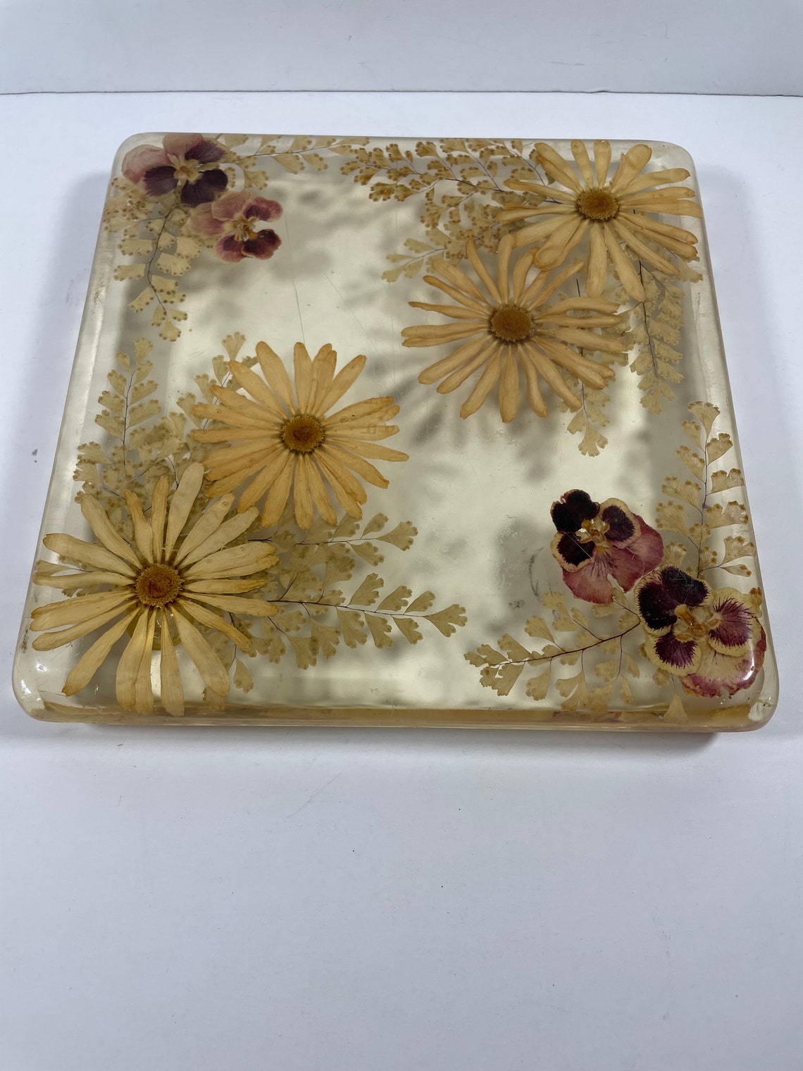 Vintage Lucite Acrylic Pressed Wild Flower Trivet Tray Mid Century ...