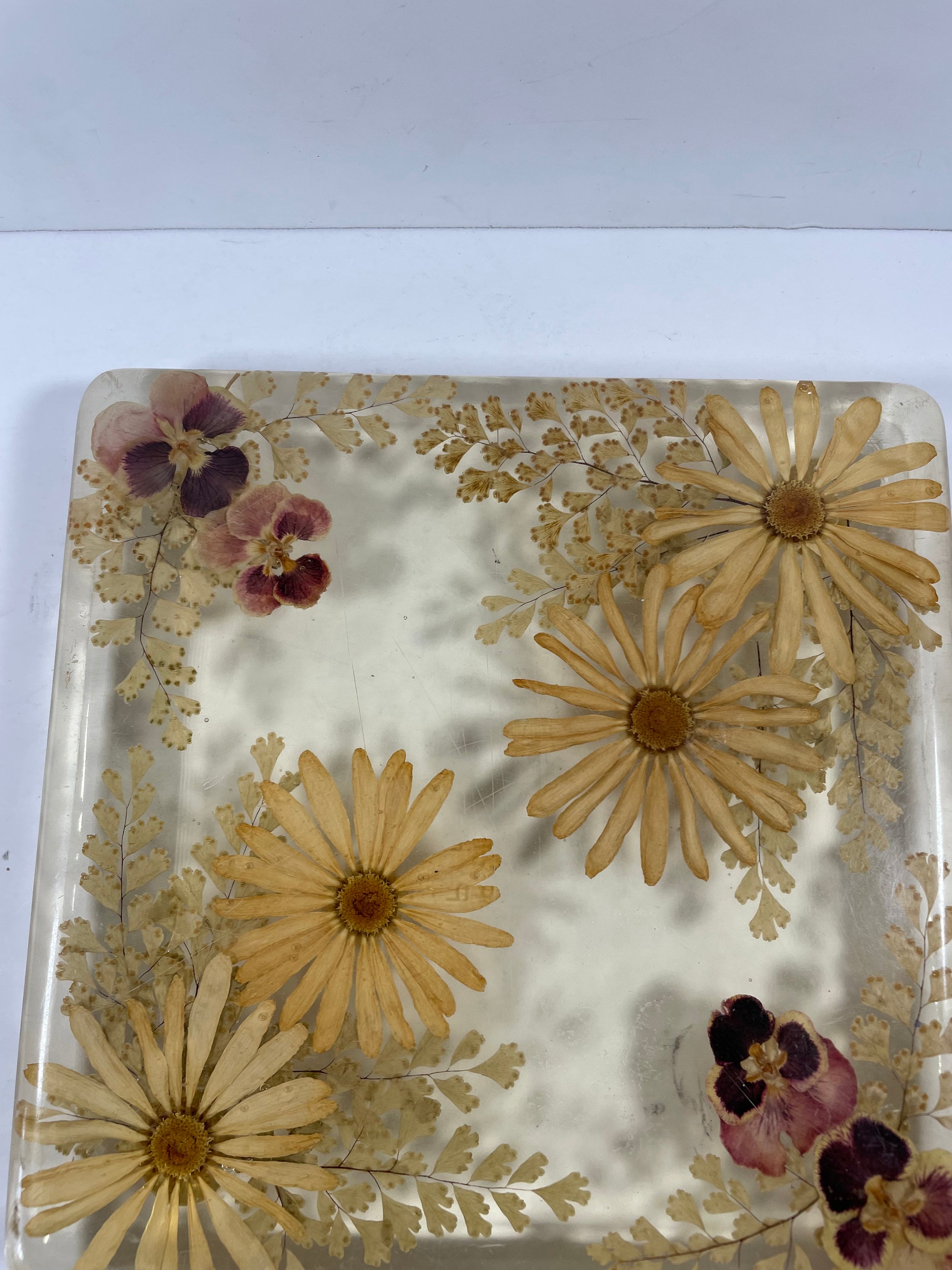Vintage Lucite Acrylic Pressed Wild Flower Trivet Tray Mid Century ...