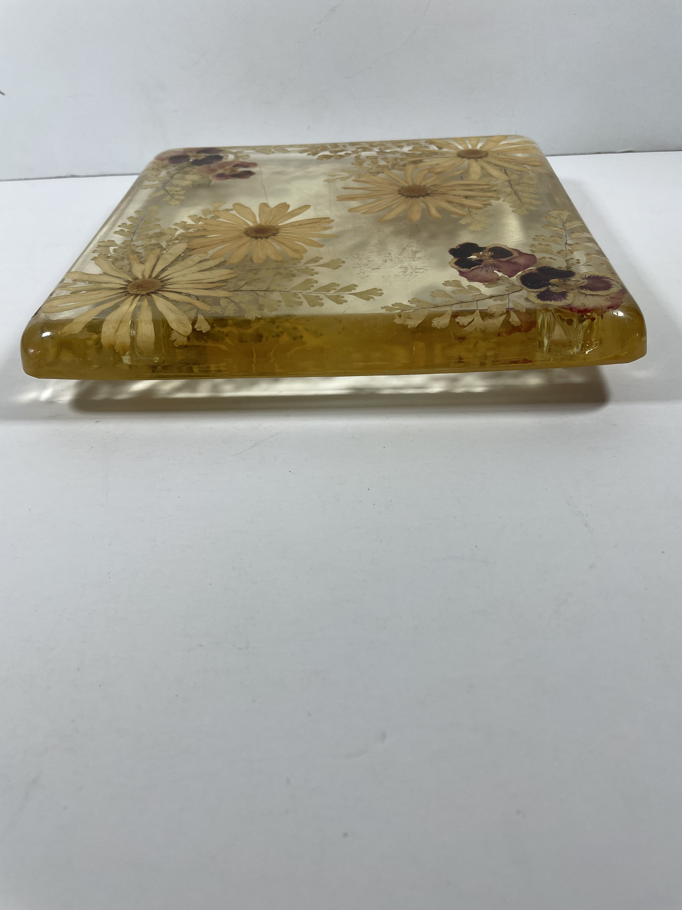 Vintage Lucite Acrylic Pressed Wild Flower Trivet Tray Mid Century ...