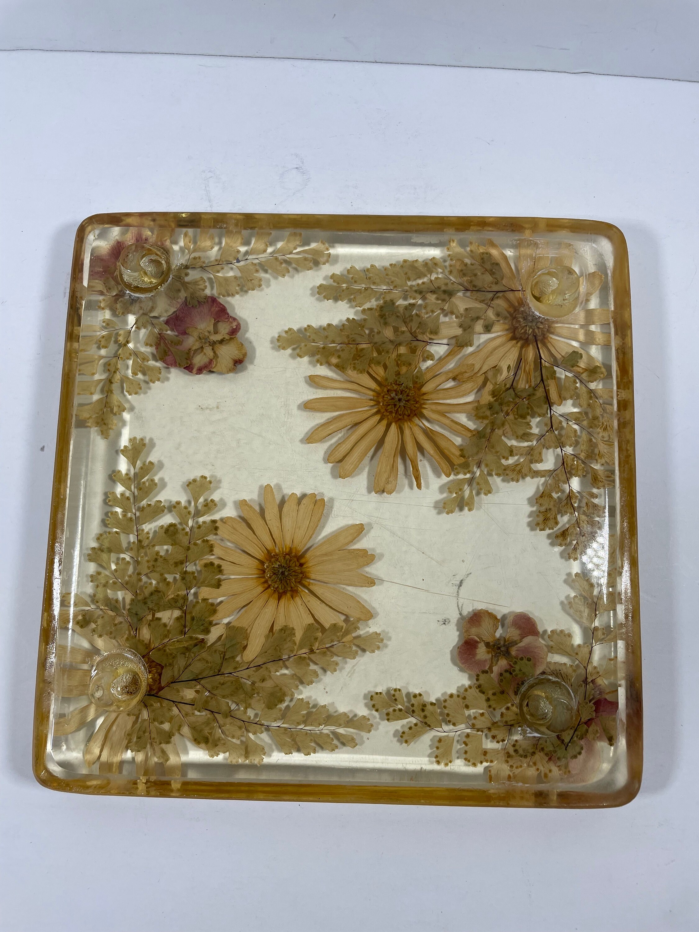 Vintage Lucite Acrylic Pressed Wild Flower Trivet Tray Mid Century ...