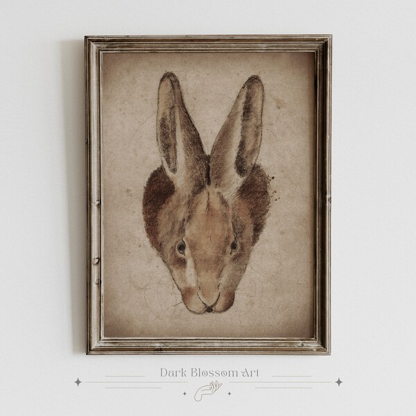 Dark Academia Decor - Etsy