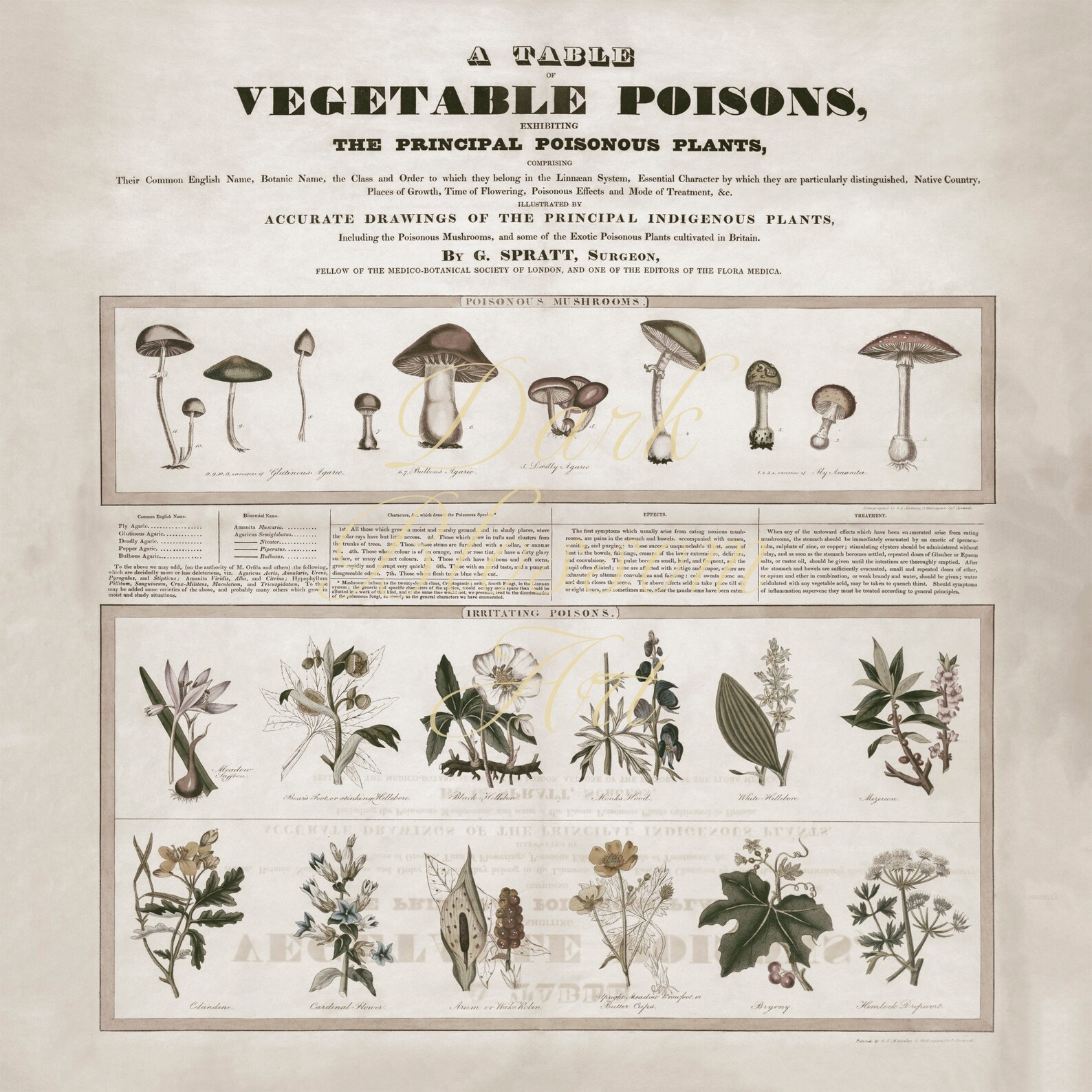 Poisonous Plants Poster, Vintage Botanical Print, Dark Academia ...