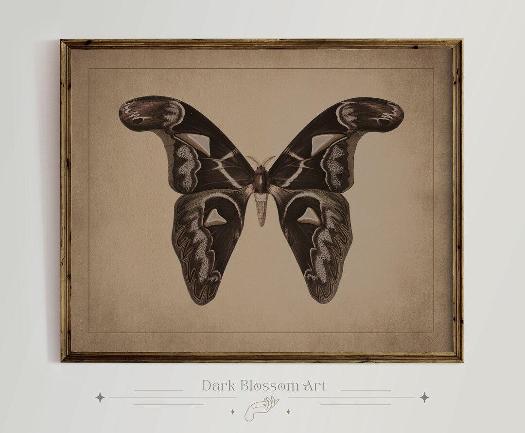 Dark Moth, Vintage Moth Print, Vintage Butterfly Print, Light Academia ...