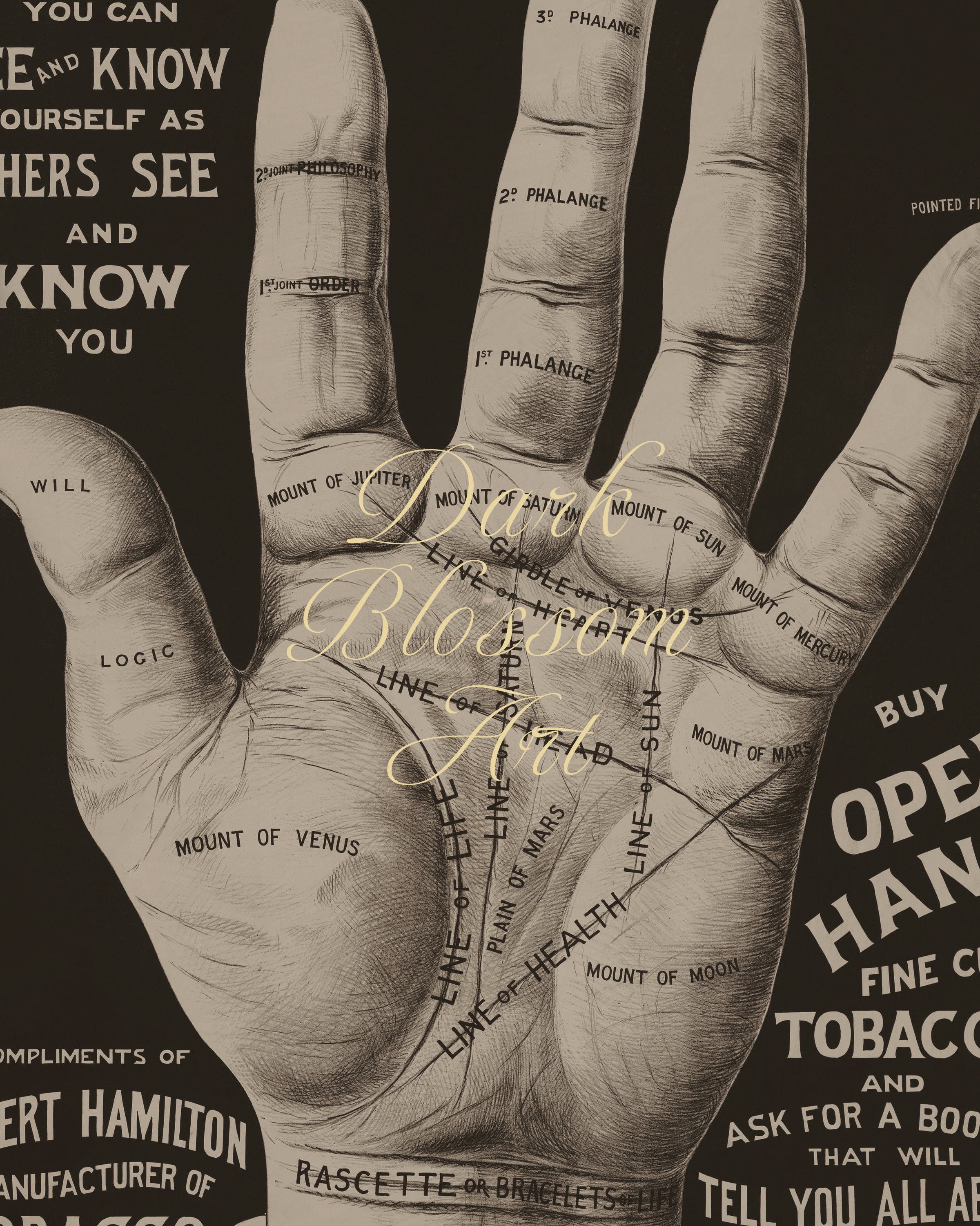 Vintage Palm Reading Poster, Astrology Art, Spiritual Art, Witchy Art ...