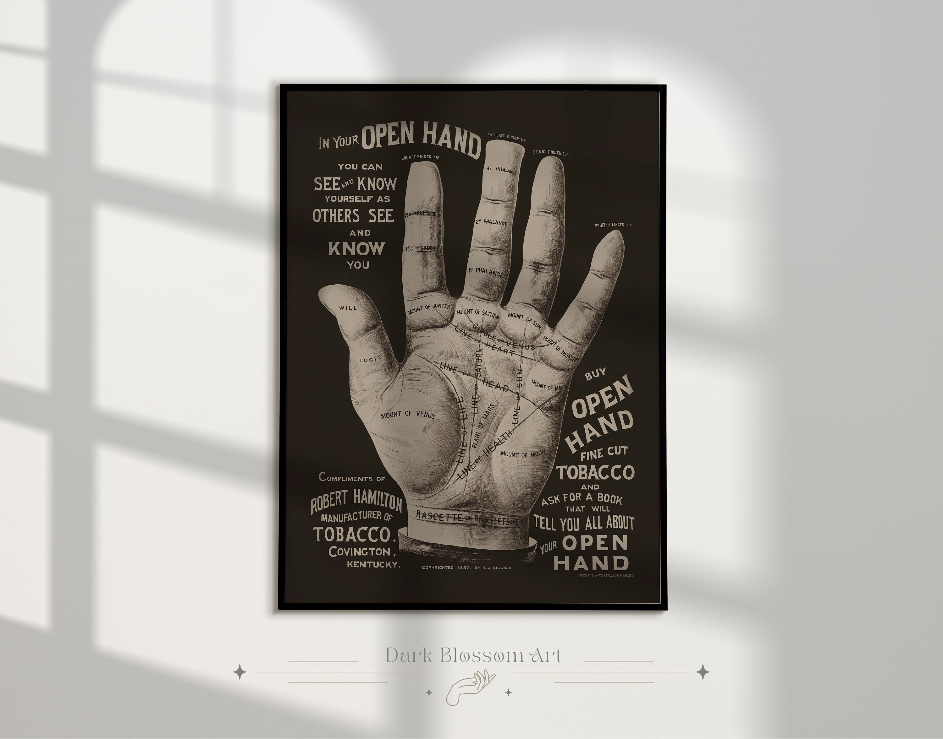 Vintage Palm Reading Poster, Astrology Art, Spiritual Art, Witchy Art ...