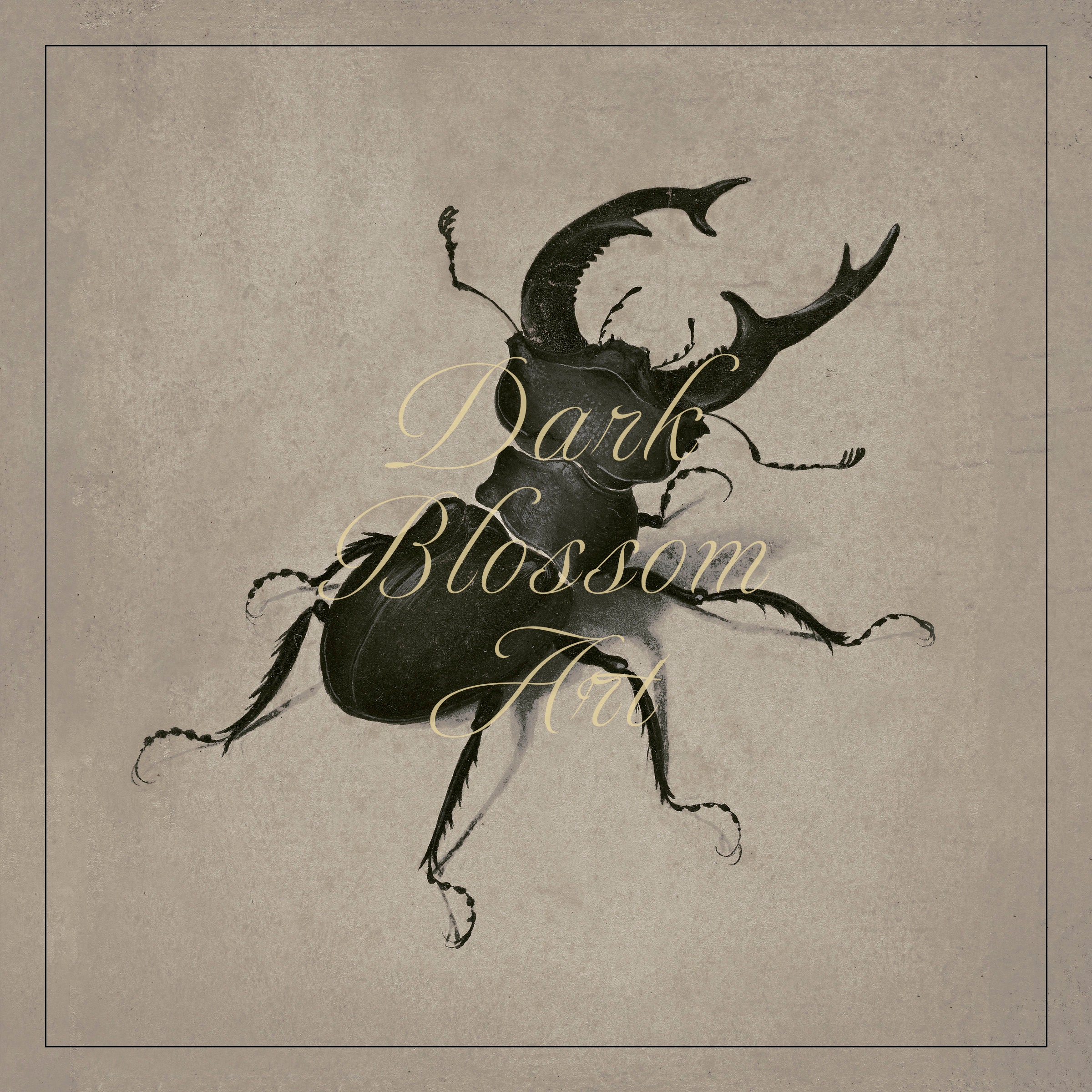 Antique Beetle Print, Stag Beetle, Insect Print, Vintage Art Print ...