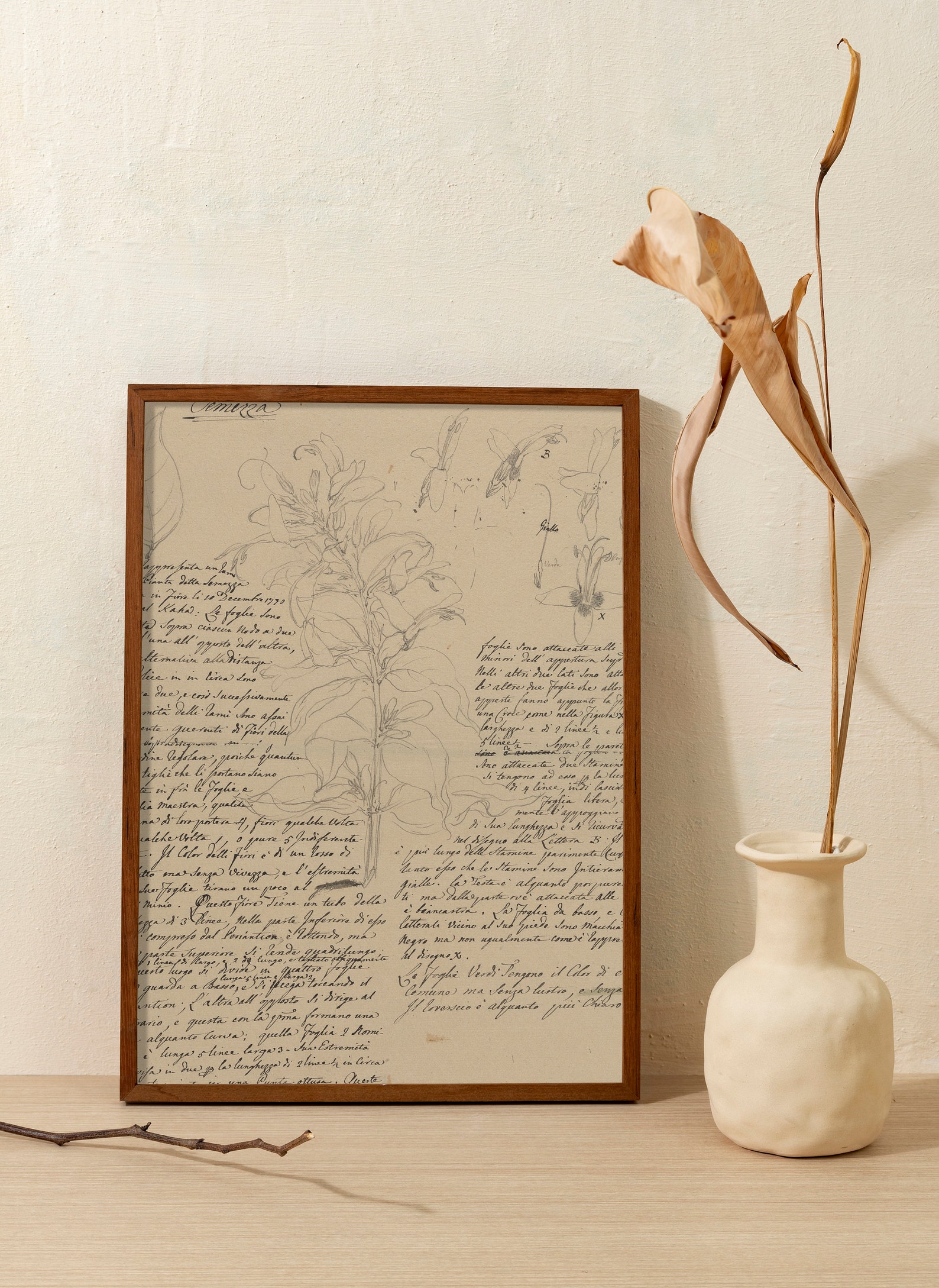 Light Academia, Dark Academia, Text Art, Book Art, Edgar Allen Poe ...