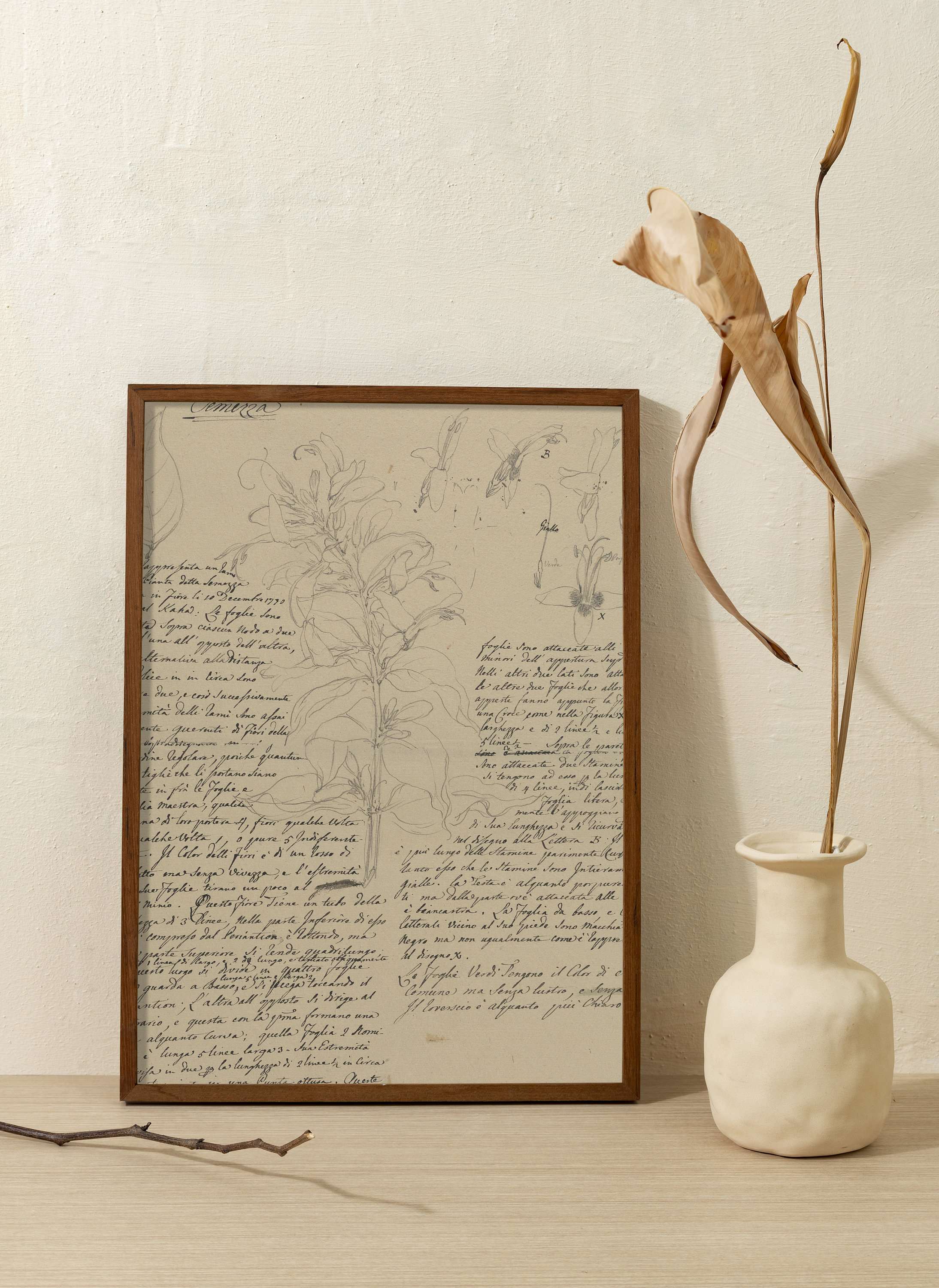 Light Academia, Dark Academia, Text Art, Book Art, Edgar Allen Poe ...