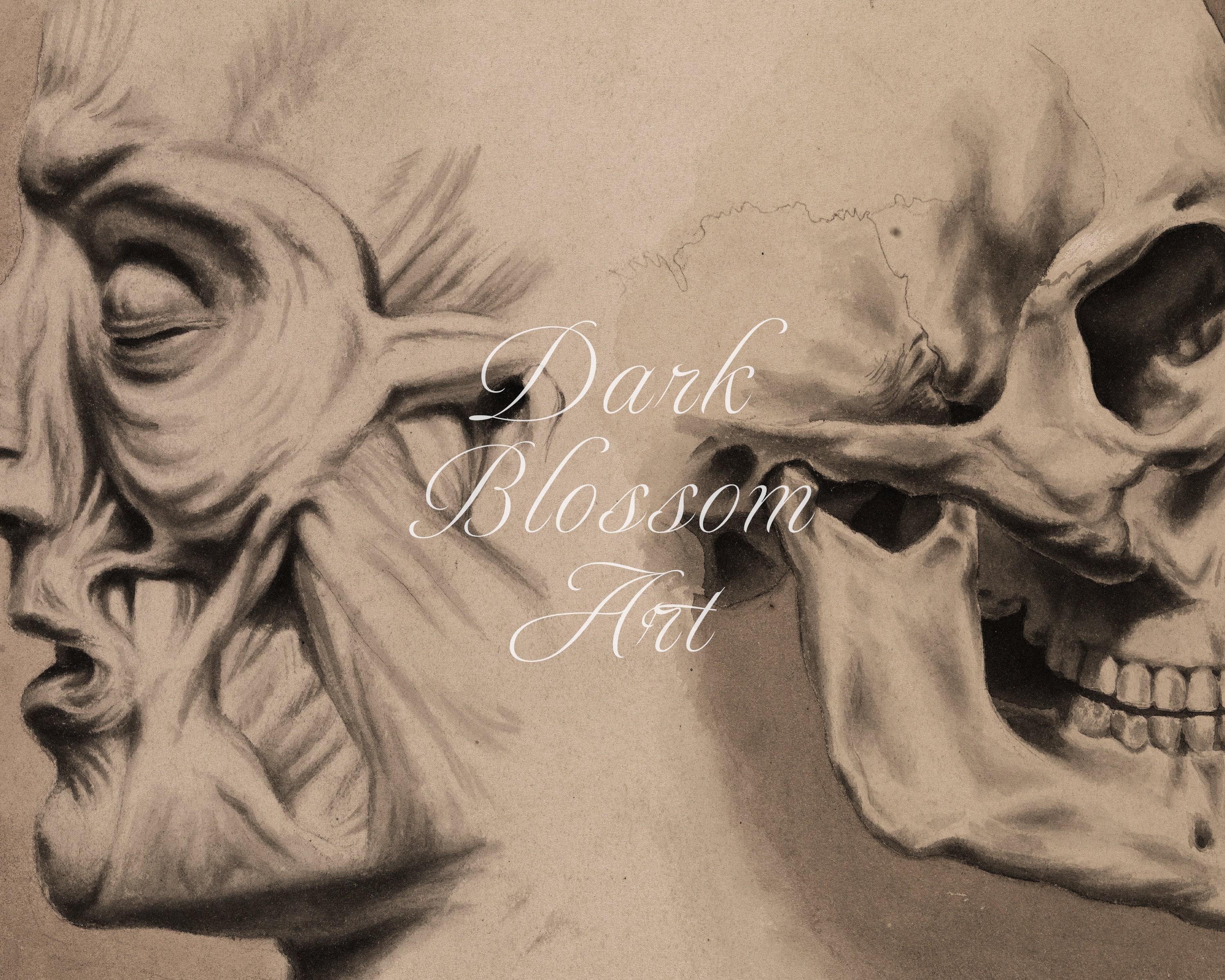 Antique Skull Print, Alter Ego, Gothic Art, Dark Academia, Light ...