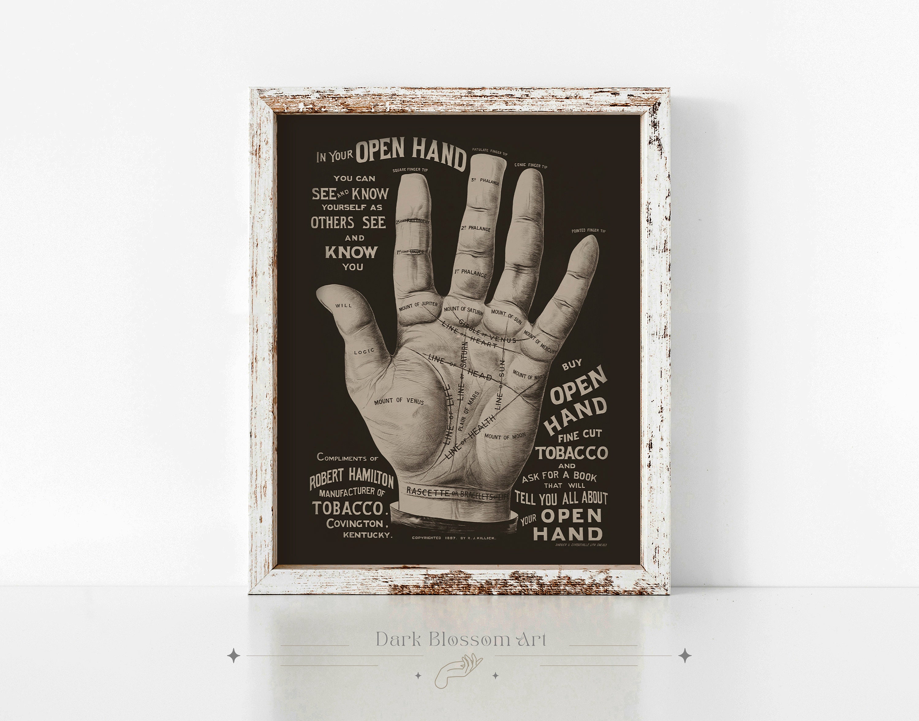 Vintage Palm Reading Poster, Astrology Art, Spiritual Art, Witchy Art ...