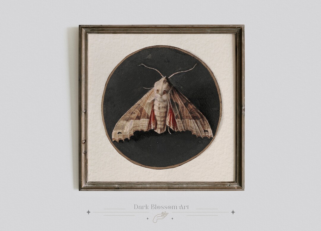 Vintage Moth Painting, Cottagecore Painting, Nature Art Print, Antique ...