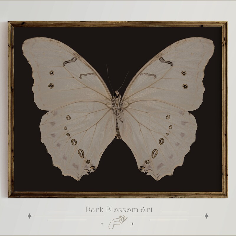 Butterfly Print - Etsy