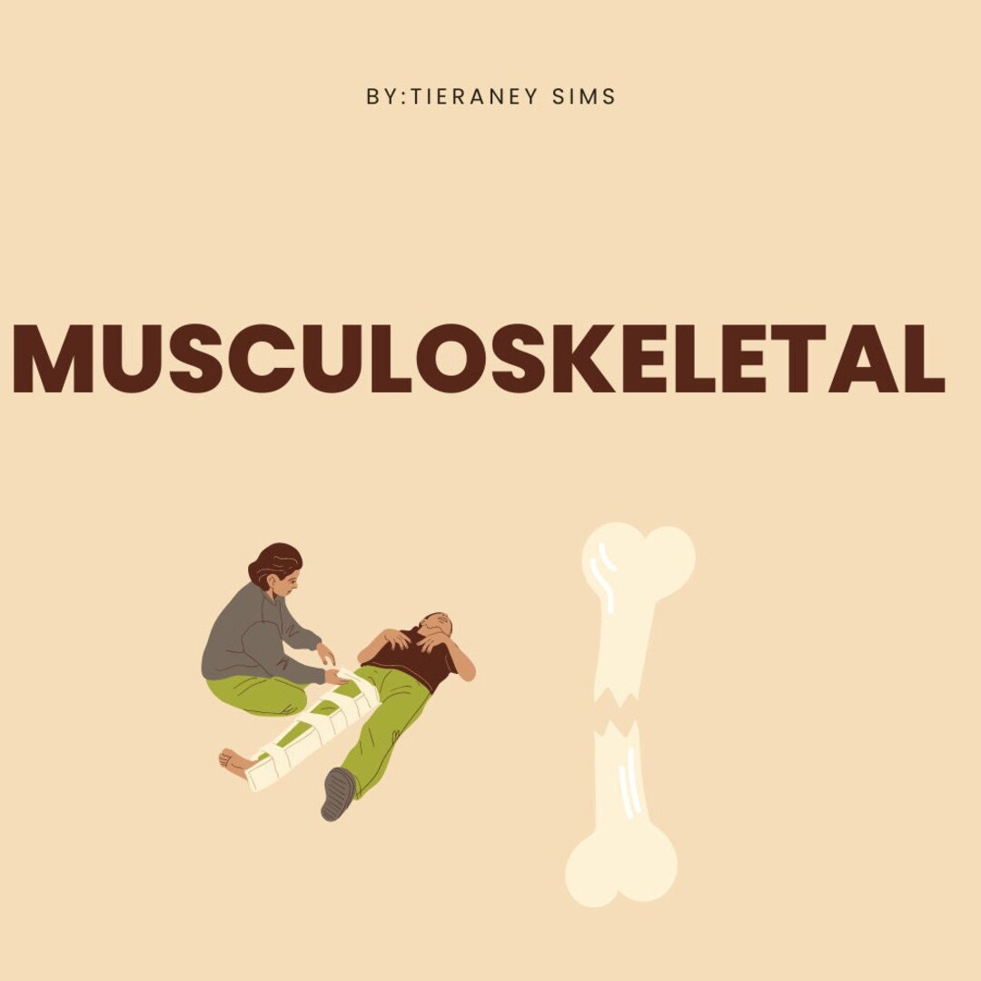 Musculoskeletal Medical Surgical Study Guide - Etsy