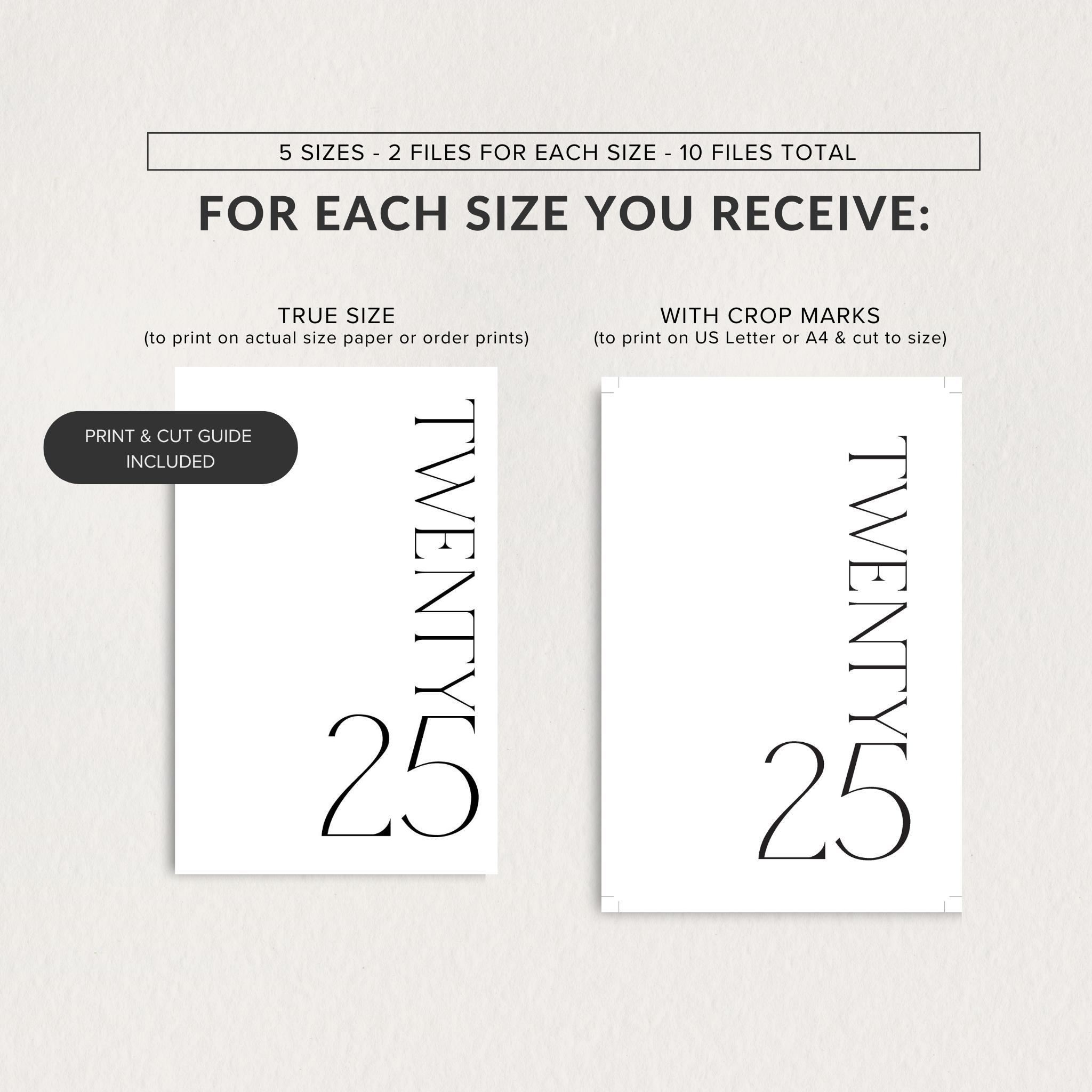 2025 Dashboard Printable Planner Insert, Planner Accessories With ...