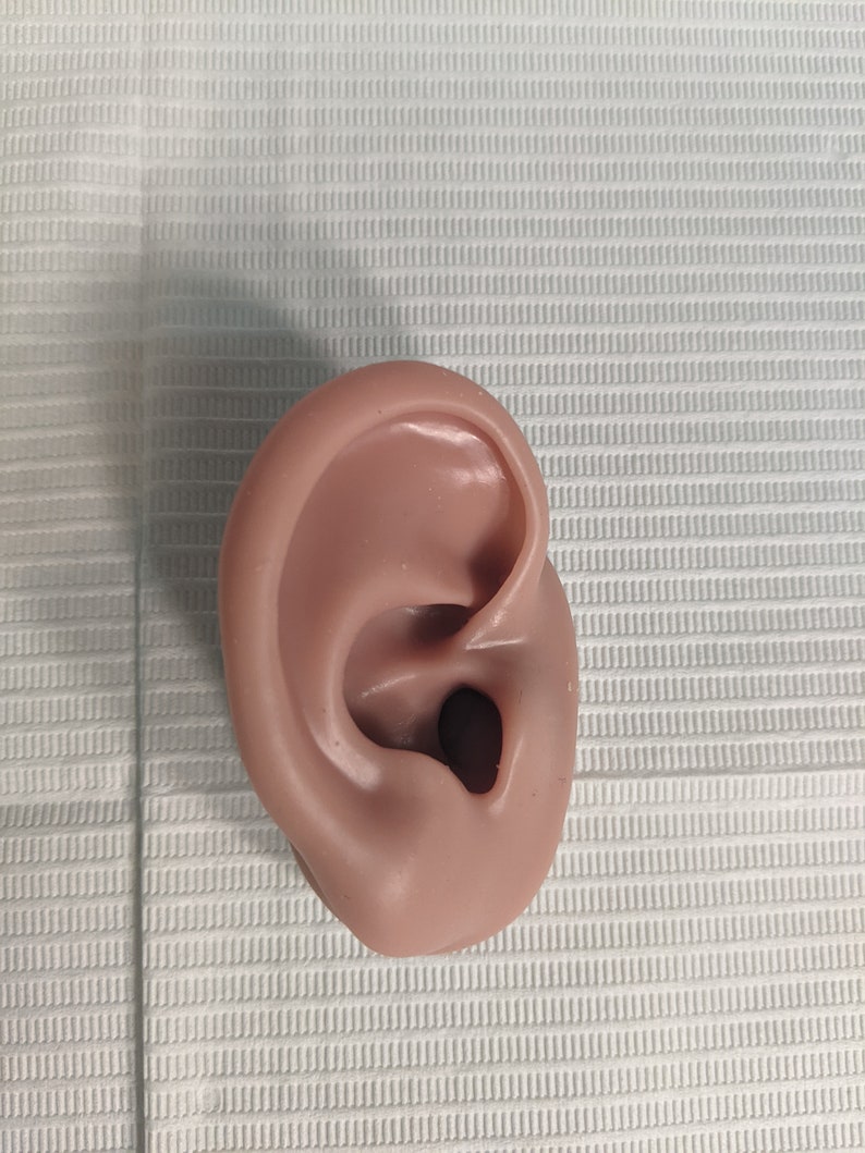 3D Silicone Ear for Ear Lobe Filler Training, Piercing Practice ...