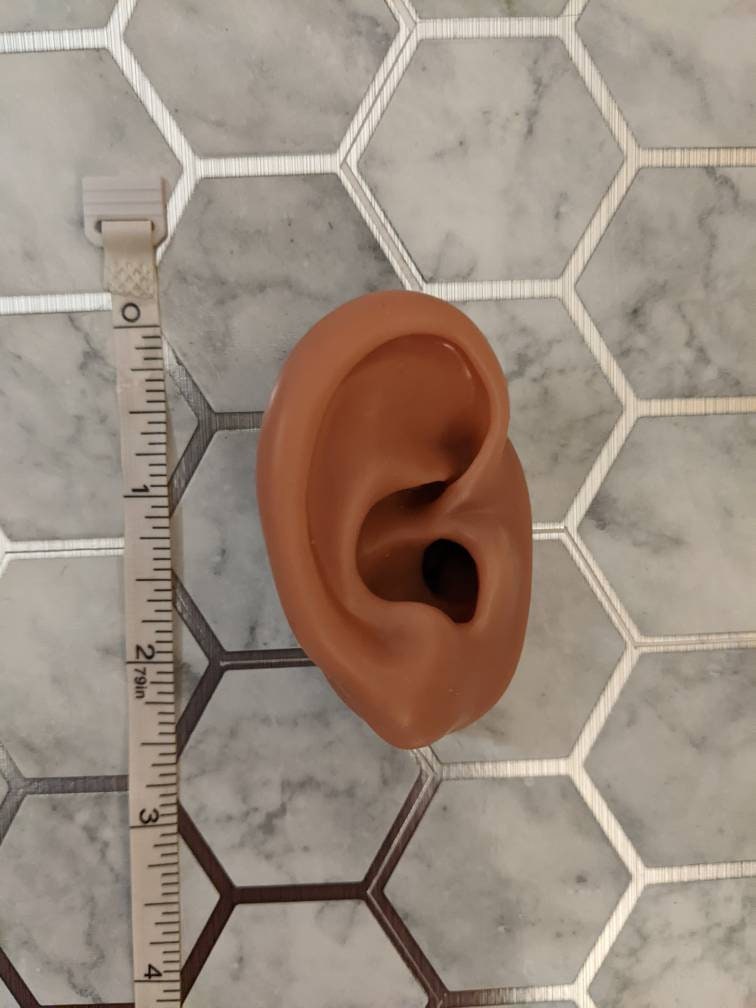 3D Silicone Ear for Ear Lobe Filler Training, Piercing Practice ...
