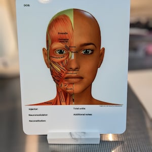 Facial Anatomy Dry Erase Board for Note Taking/charting, Facial Muscles ...