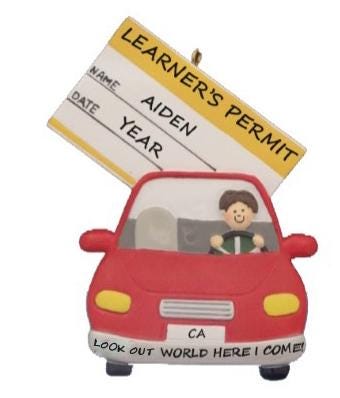 Male or Female Driver Learner's Permit Personalized Christmas Ornament ...