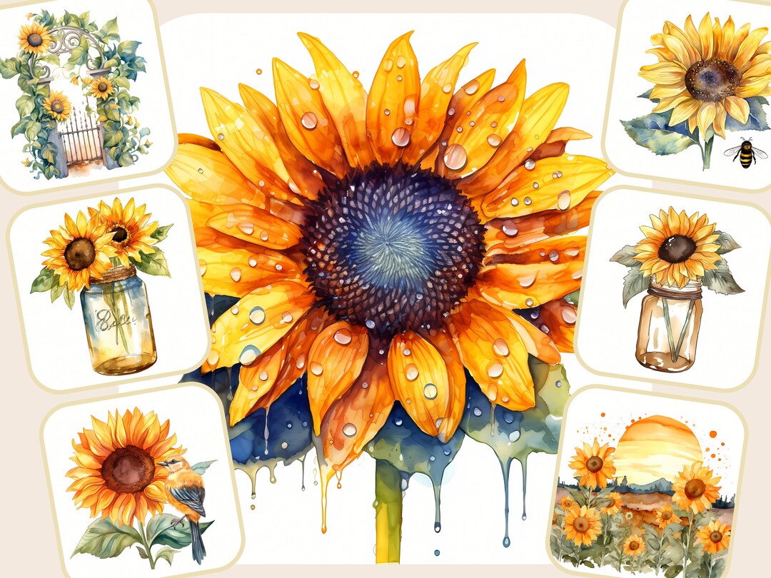 54 Sunflower Clipart Cheerful Floral Illustrations Perfect for Nature ...
