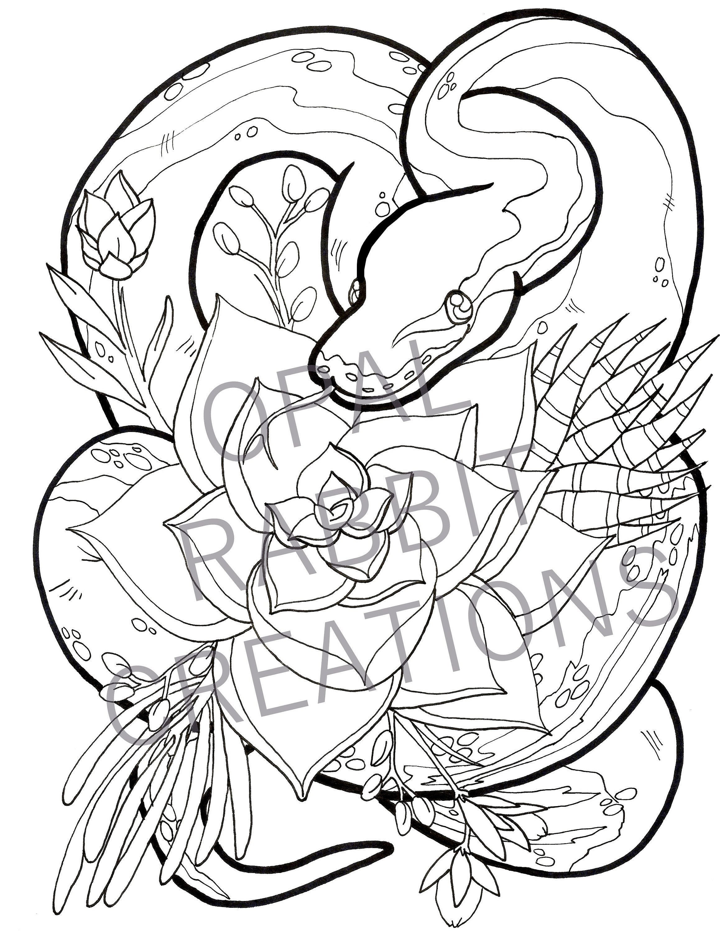 Succulent Boa - Printable Coloring Page - Etsy