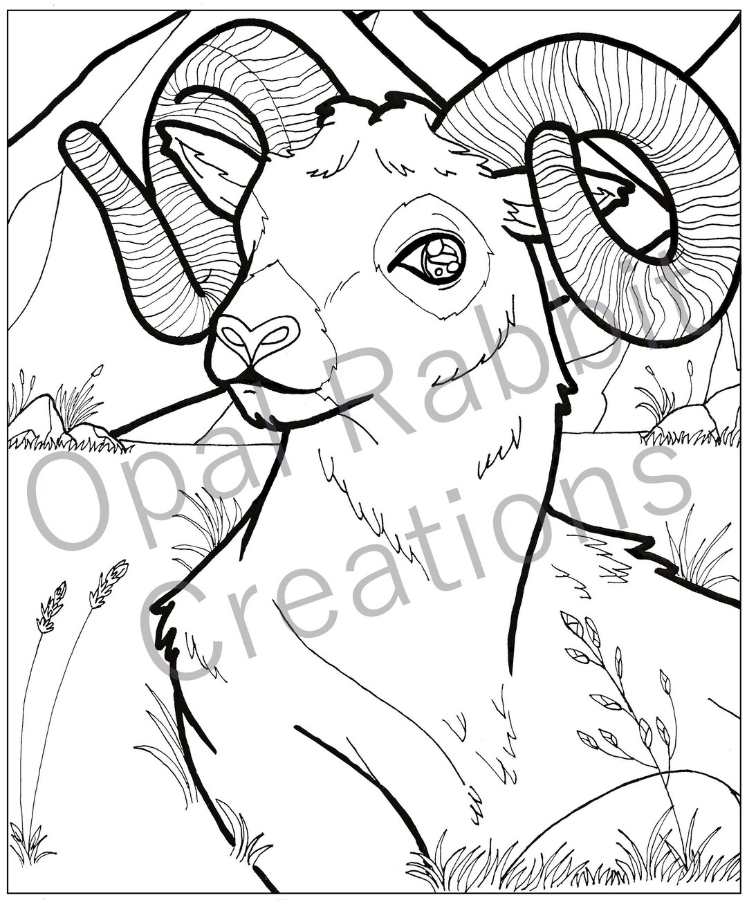 Mountain Ram - Printable Coloring Page - Etsy