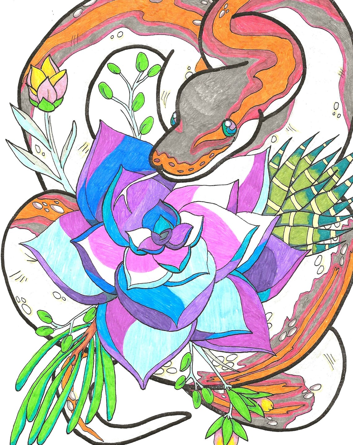 Succulent Boa - Printable Coloring Page - Etsy