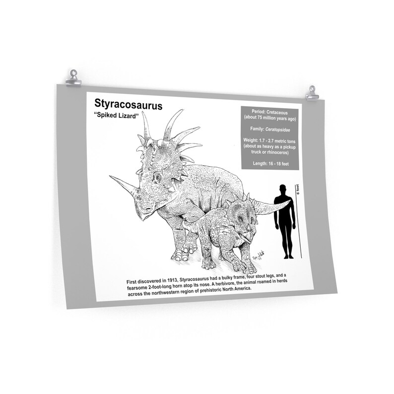 Styracosaurus | Premium Frame, Dinosaur Prints, Fact Sheet, Nursery ...