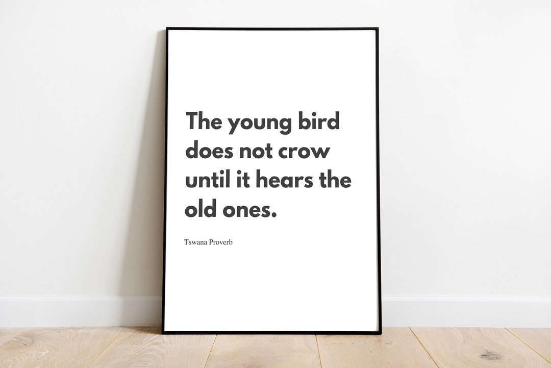 12 Various Proverb Poster/wall Art That Come in 4 Sizes Each. - Etsy