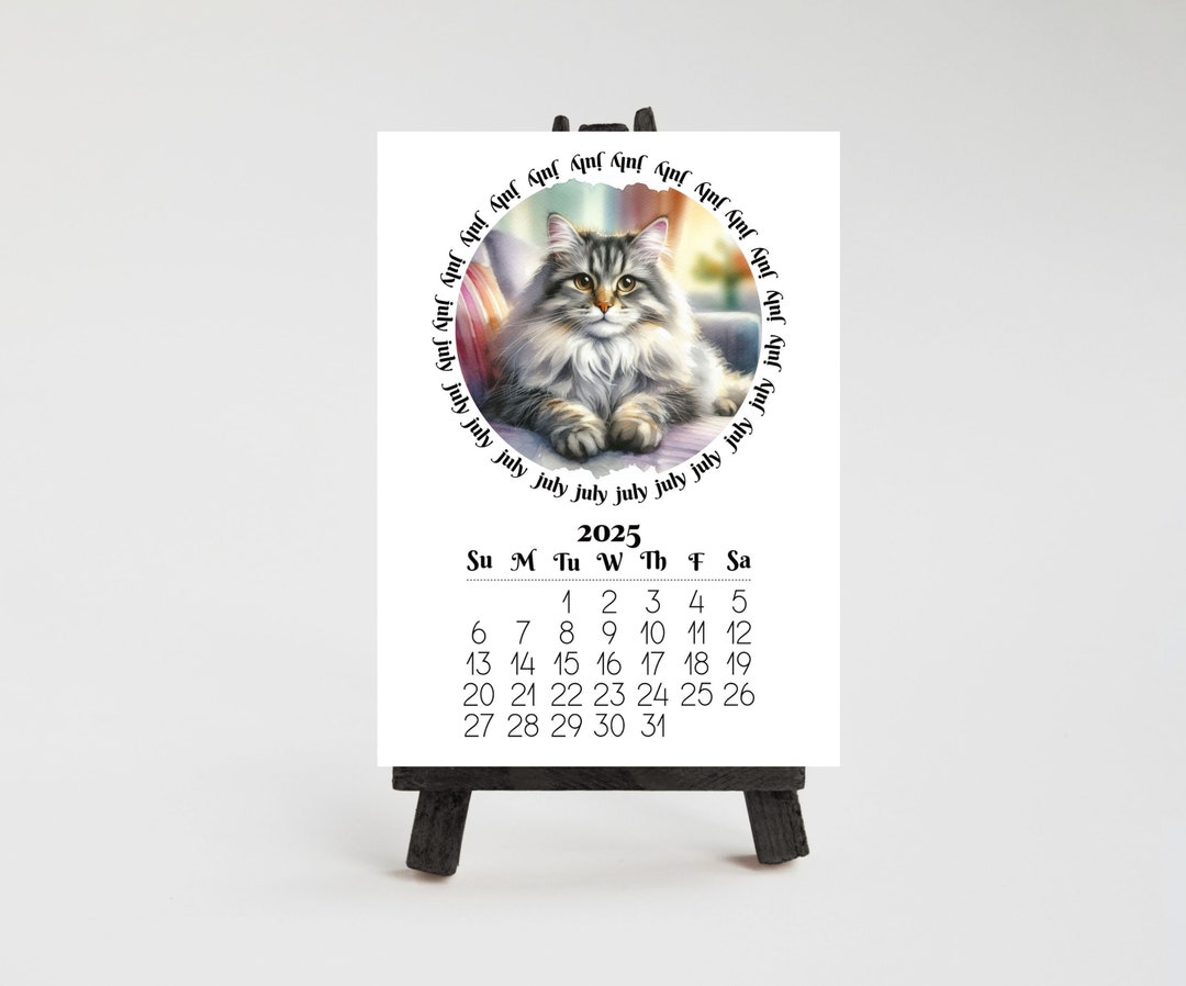 2026 Mini Cozy Long Haired Cat Calendar - Small Desk Calendar ...