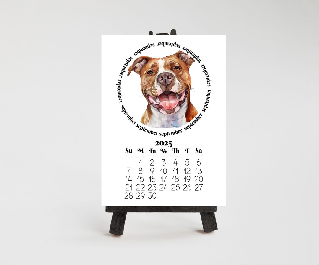 2026 Mini Desk Calendar Featuring Funny Pit Bull Terriers | Small Desk ...