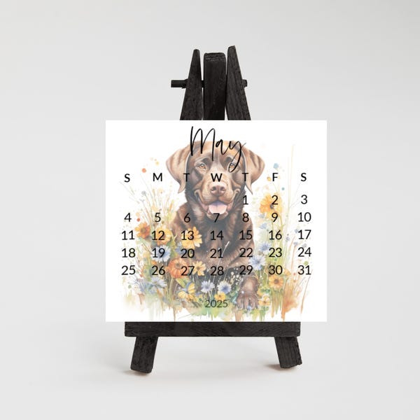 Labrador Retriever 2025 Calendar - Etsy