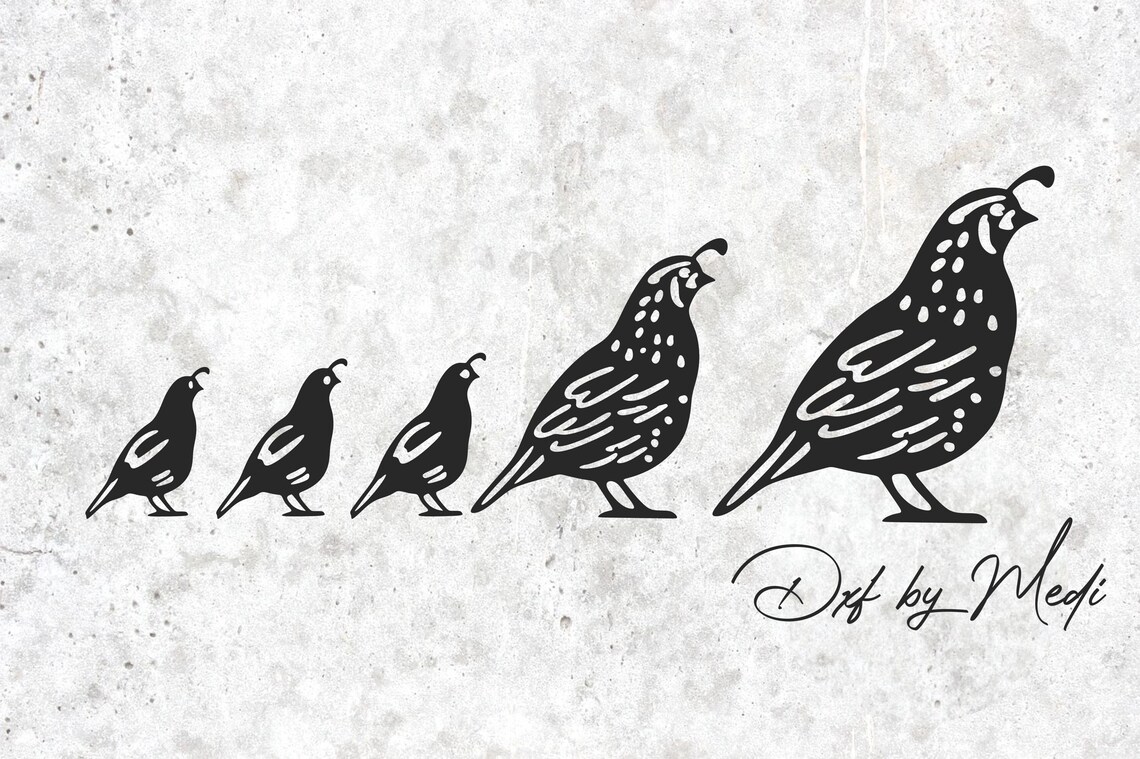 Quail Family Design - Farmhouse SVG, DXF, CDR Digital Download - Etsy