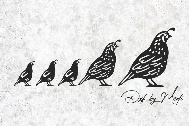 Quail Family Design - Farmhouse SVG, DXF, CDR Digital Download - Etsy