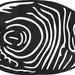 Emperor Angelfish DXF & SVG Files | Ready-to-cut for CNC, Laser, Plasma ...