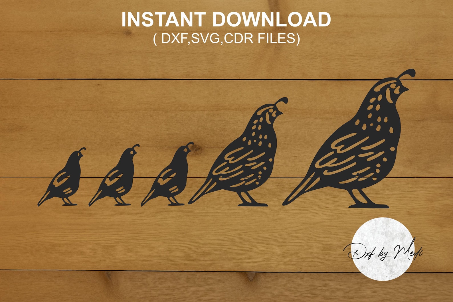 Quail Family Design - Farmhouse SVG, DXF, CDR Digital Download - Etsy