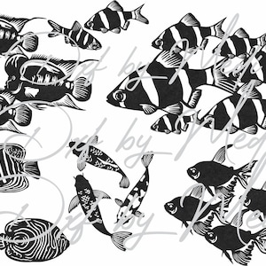 50+ Fish Laser Cut Files – SVG DXF CDR – Tropical, Saltwater ...