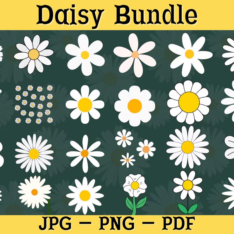 White Daisy Svg - Etsy