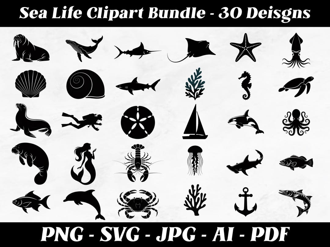 Sea Life Clipart, Ocean Clipart, Sea Animals Clip Art, Animal Clipart ...