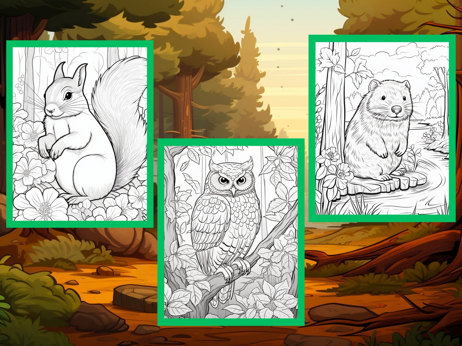 Woodland Animals Coloring Pages, Woodland Animals Coloring Book ...