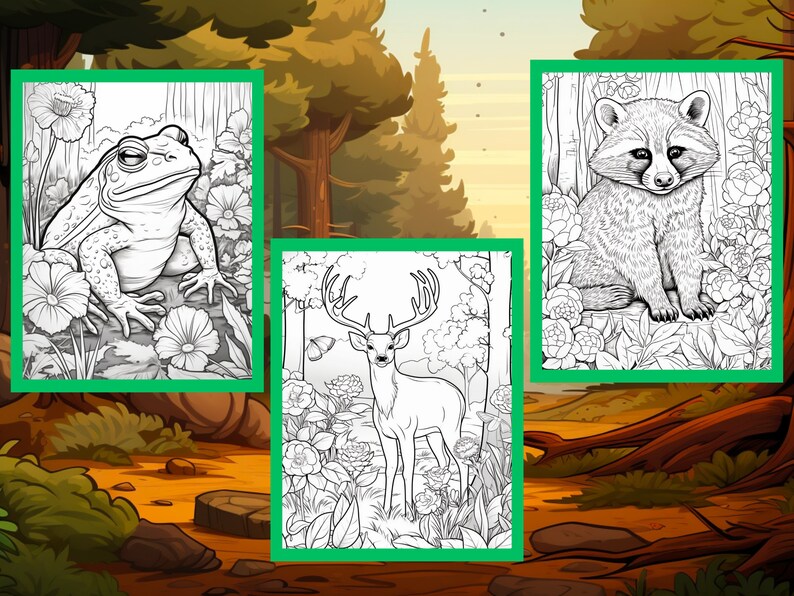 Woodland Animals Coloring Pages, Woodland Animals Coloring Book ...