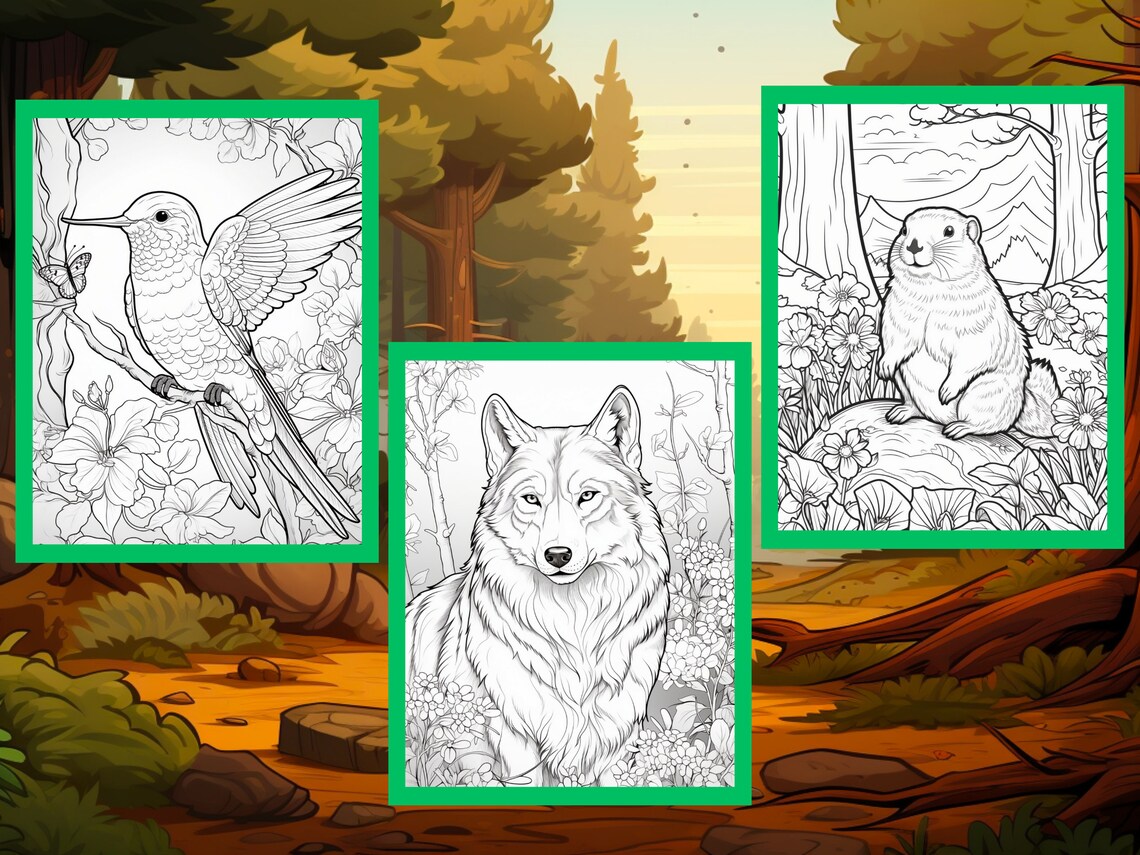 Woodland Animals Coloring Pages: 20 Page Forest Set (PDF Download) - Etsy
