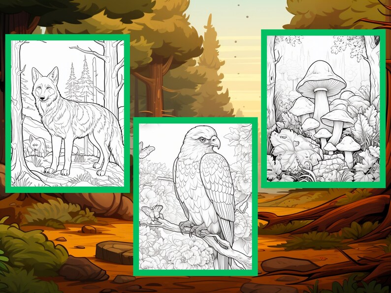 Woodland Animals Coloring Pages, Woodland Animals Coloring Book ...