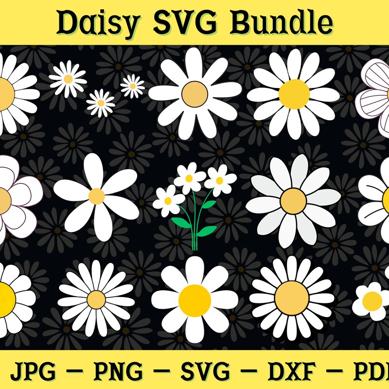 Daisy Svg - Etsy