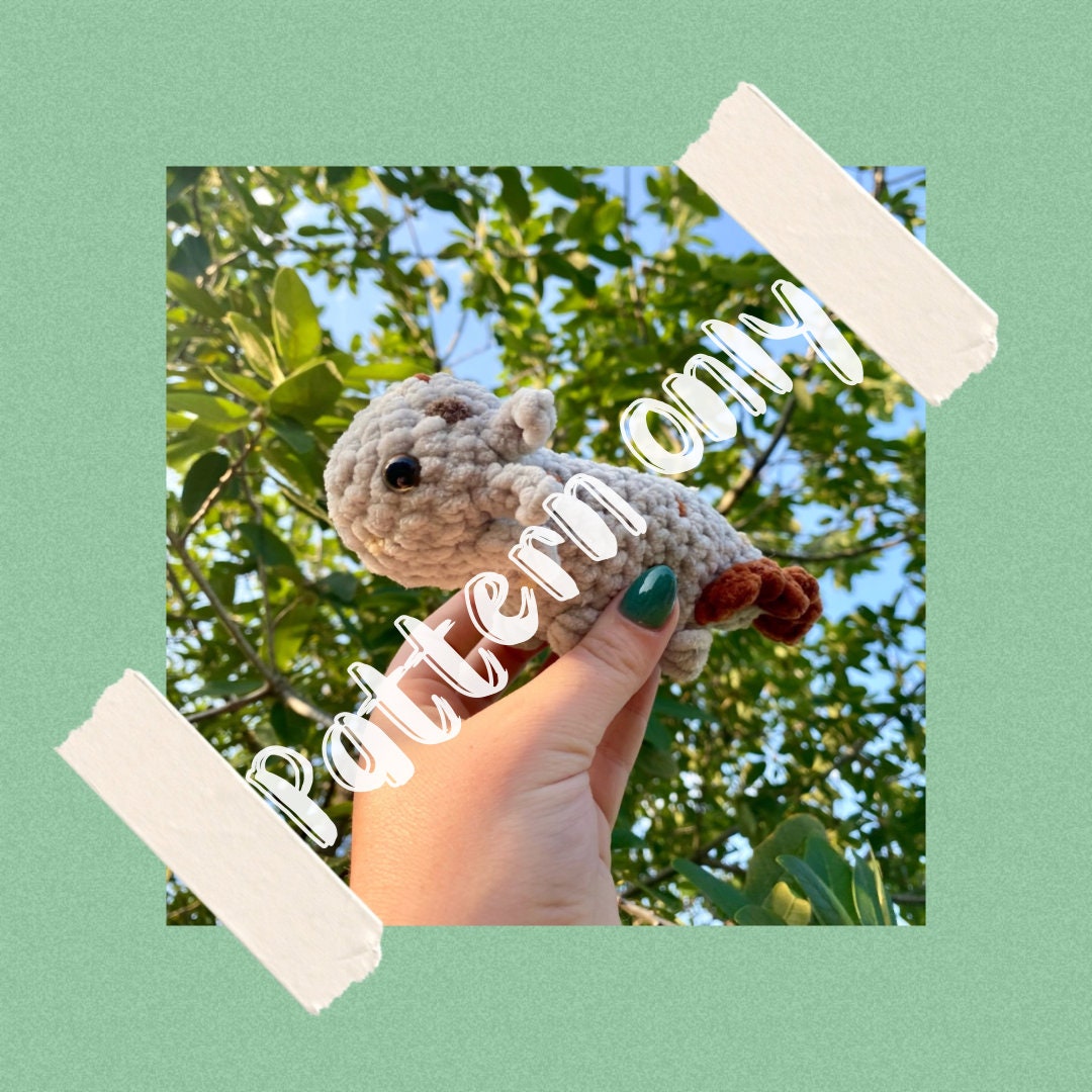 Kip the Axolotl Pattern - Etsy