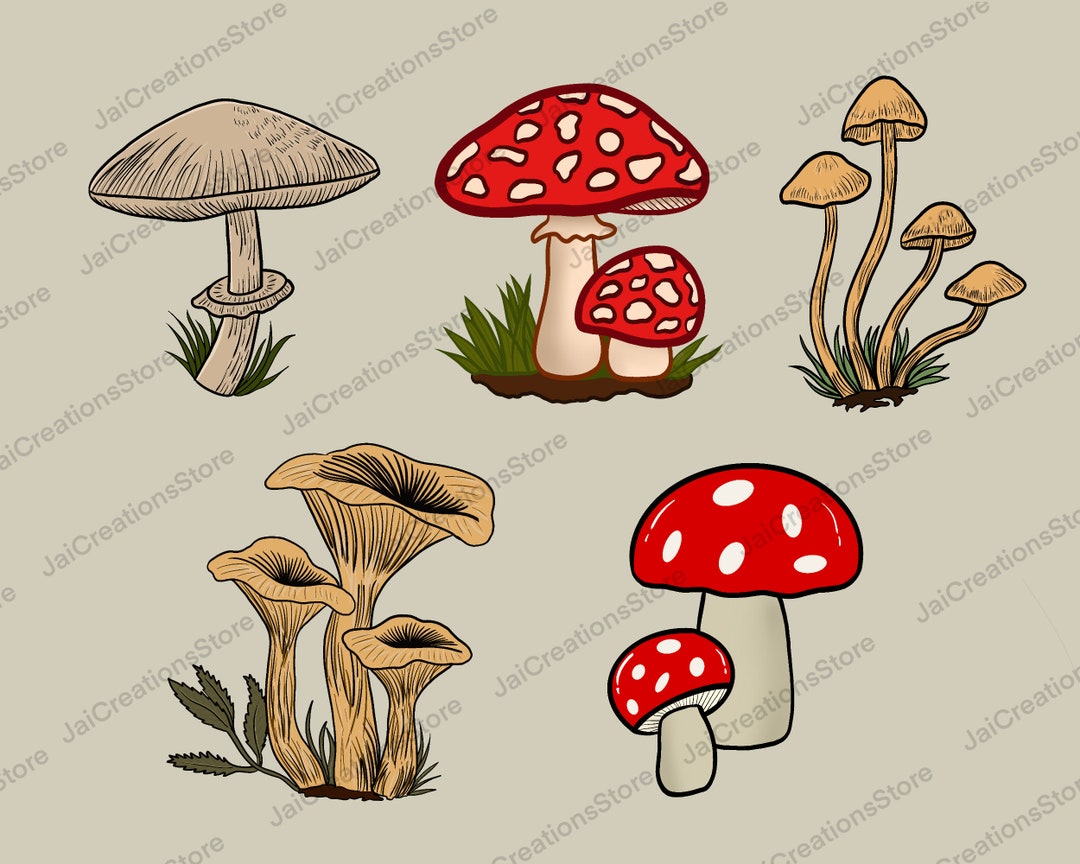 Mushroom Png Bundle, Cottage Core Png Bundle, Mushroom Vector, Mushroom ...