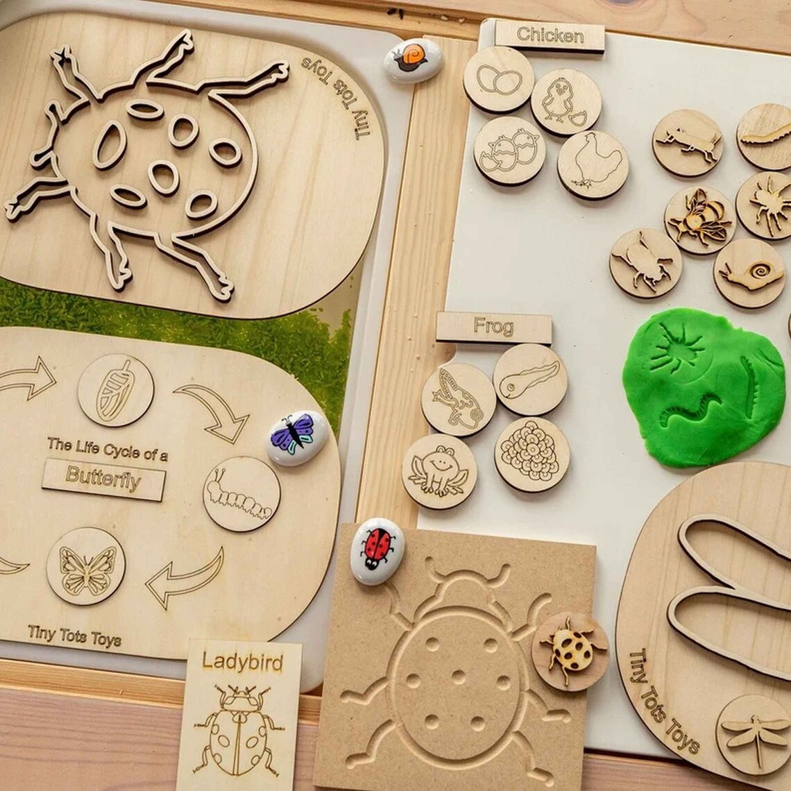 Life Cycle Bug Sensory Play Set Sensory Play Lifecycle Trofast Topper ...