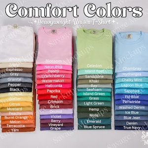 Comfort Colors Color Chart | 1717 Color Chart | Color Chart Mockup ...
