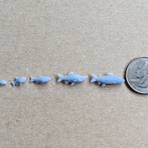 50pc Fish Miniature 3D Printed Dnd Scatter Terrain Dungeons and Dragons ...